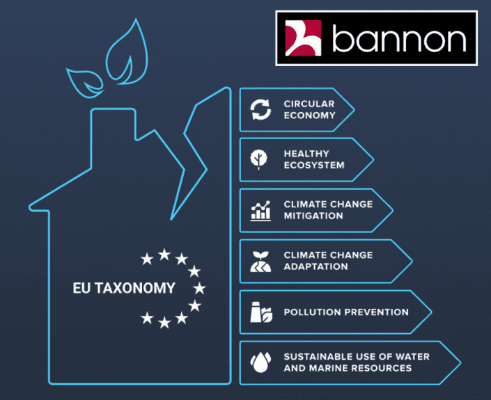 Decoding EU Taxonomy | Bannon