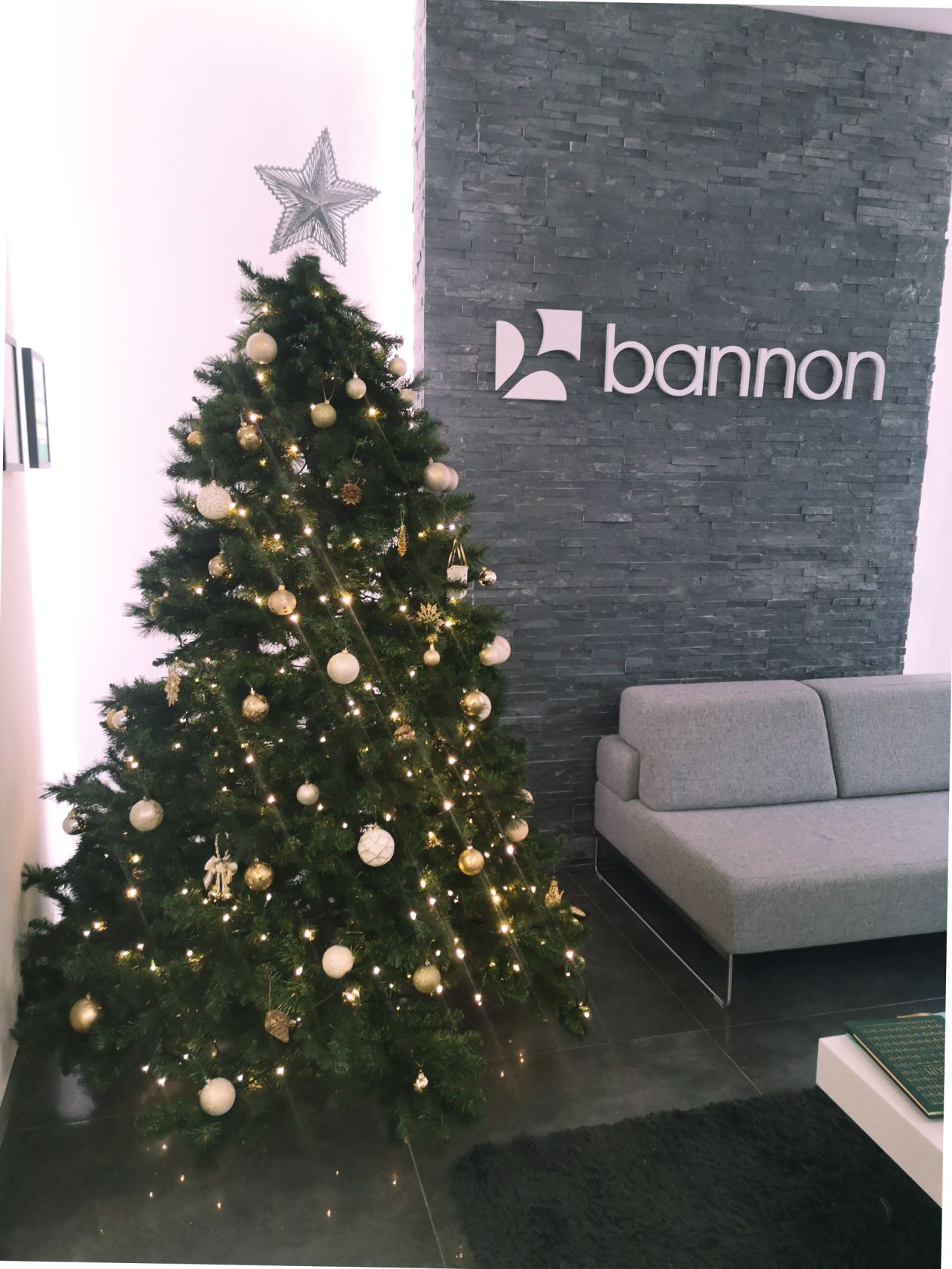 Happy December 1st | Bannon